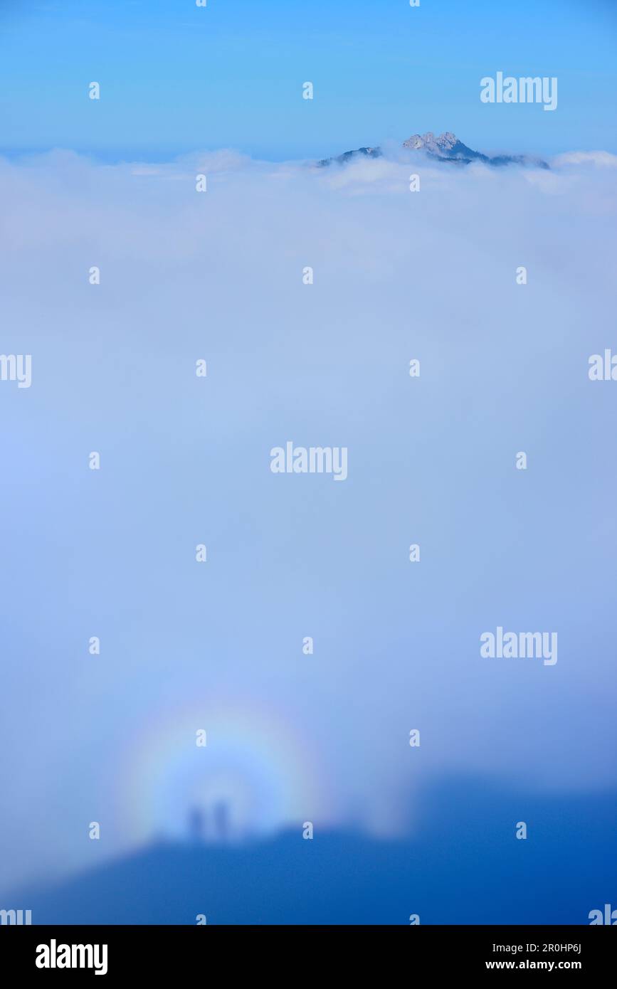 Silhouettes of two persons in fog, Brocken spectre, Kampenwand in ...