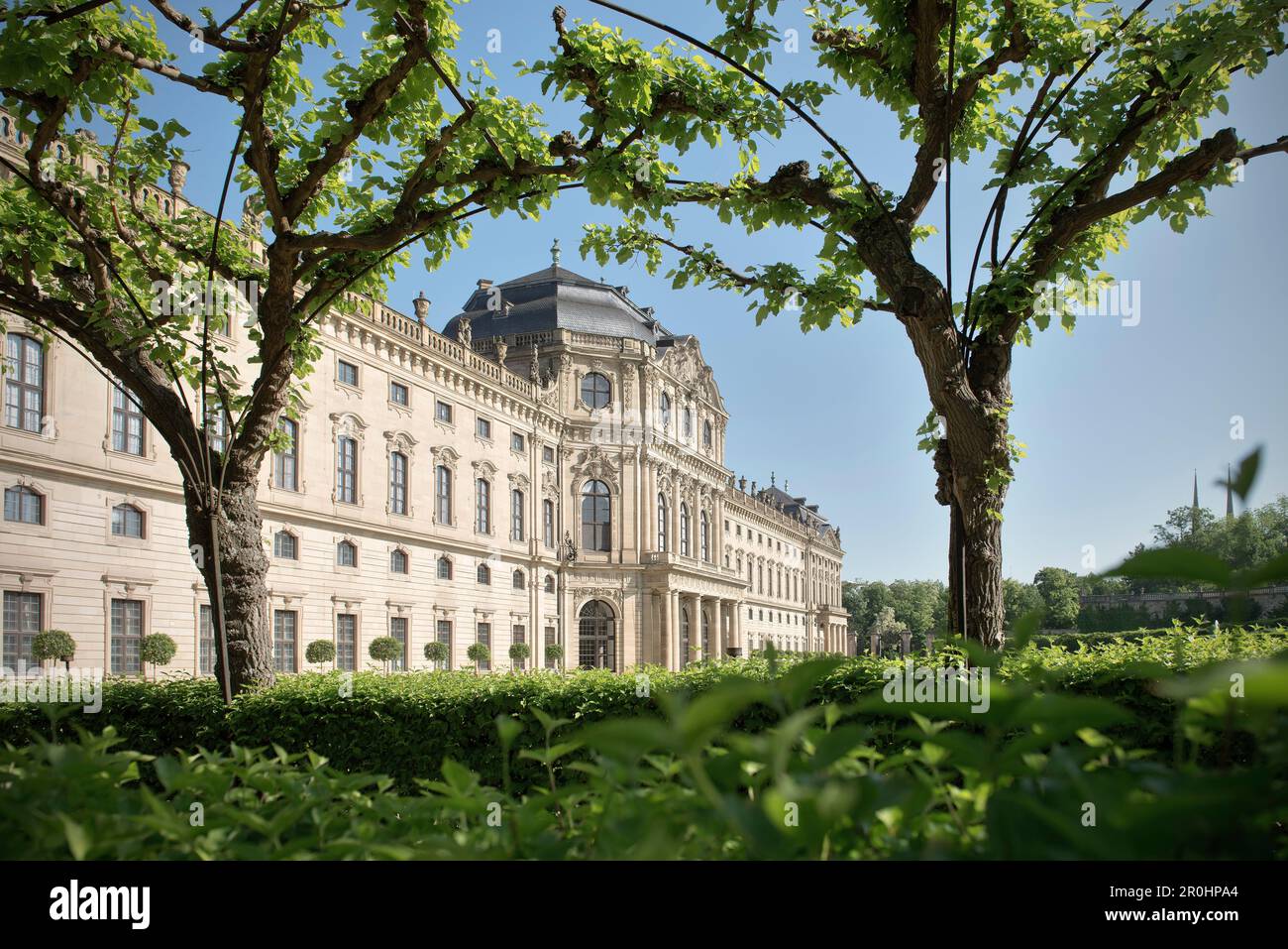 Trees in the royal gardens with view of the Residenz, baroque era ...