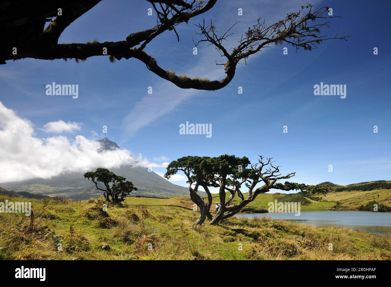 Lake do Capitao beneath the vulcano, Ponta do Pico, Island of Pico ...