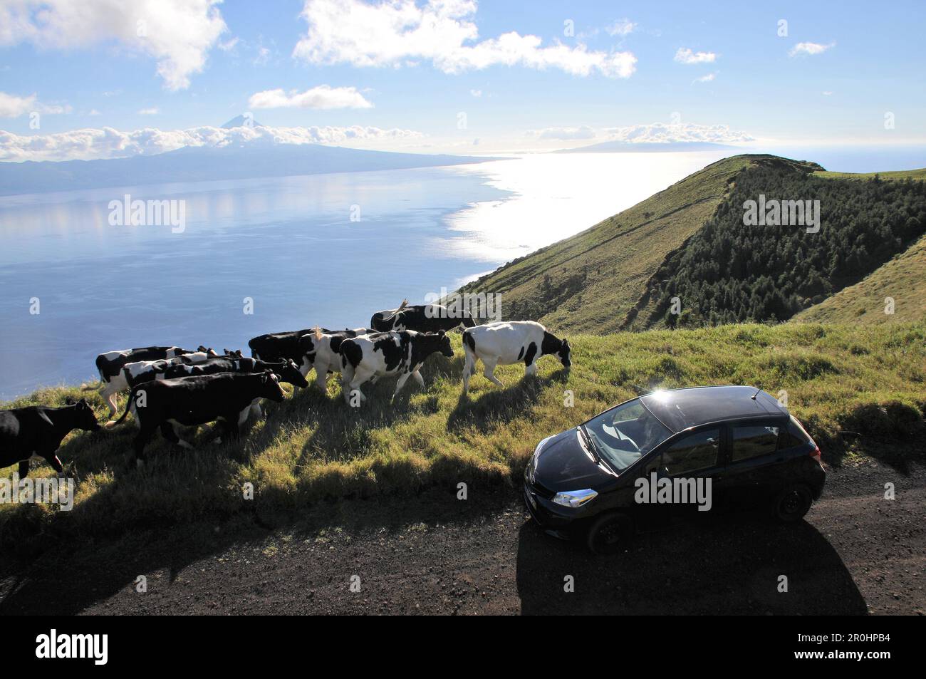 In the highlands with view towards Pico and Faial, Island of Sao Jorge ...