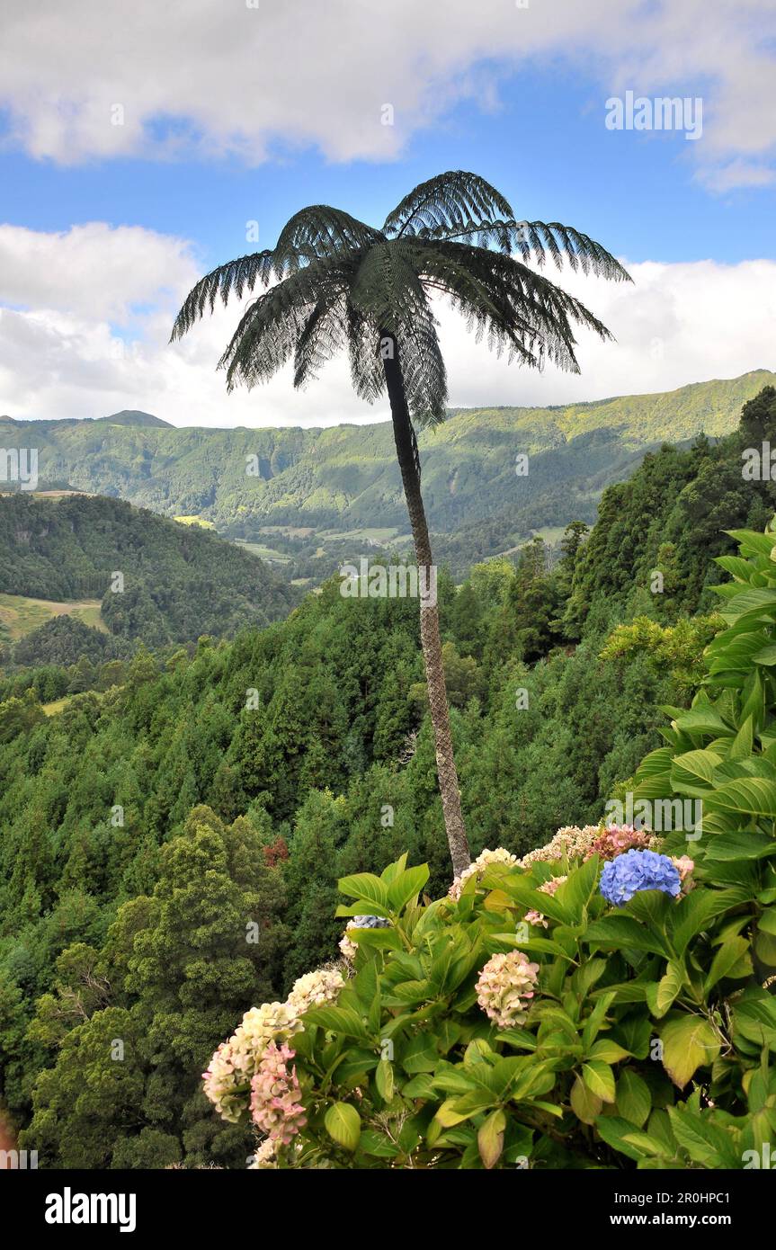 View into the valley of Furnas, Island of Sao Miguel, Azores, Portugal ...