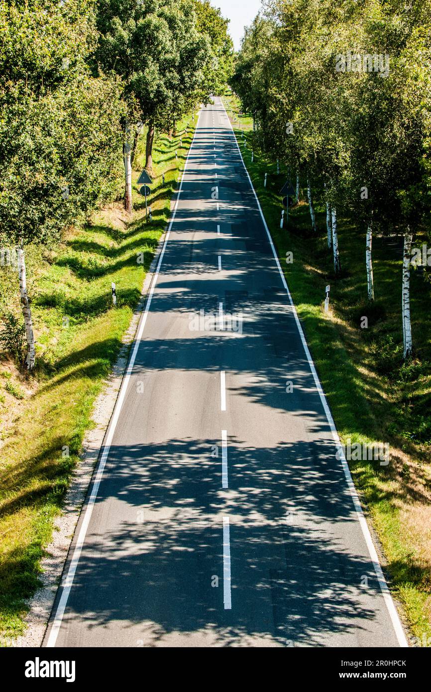 Road disappearing into the horizon, Radbruch, Winsen Luhe ...