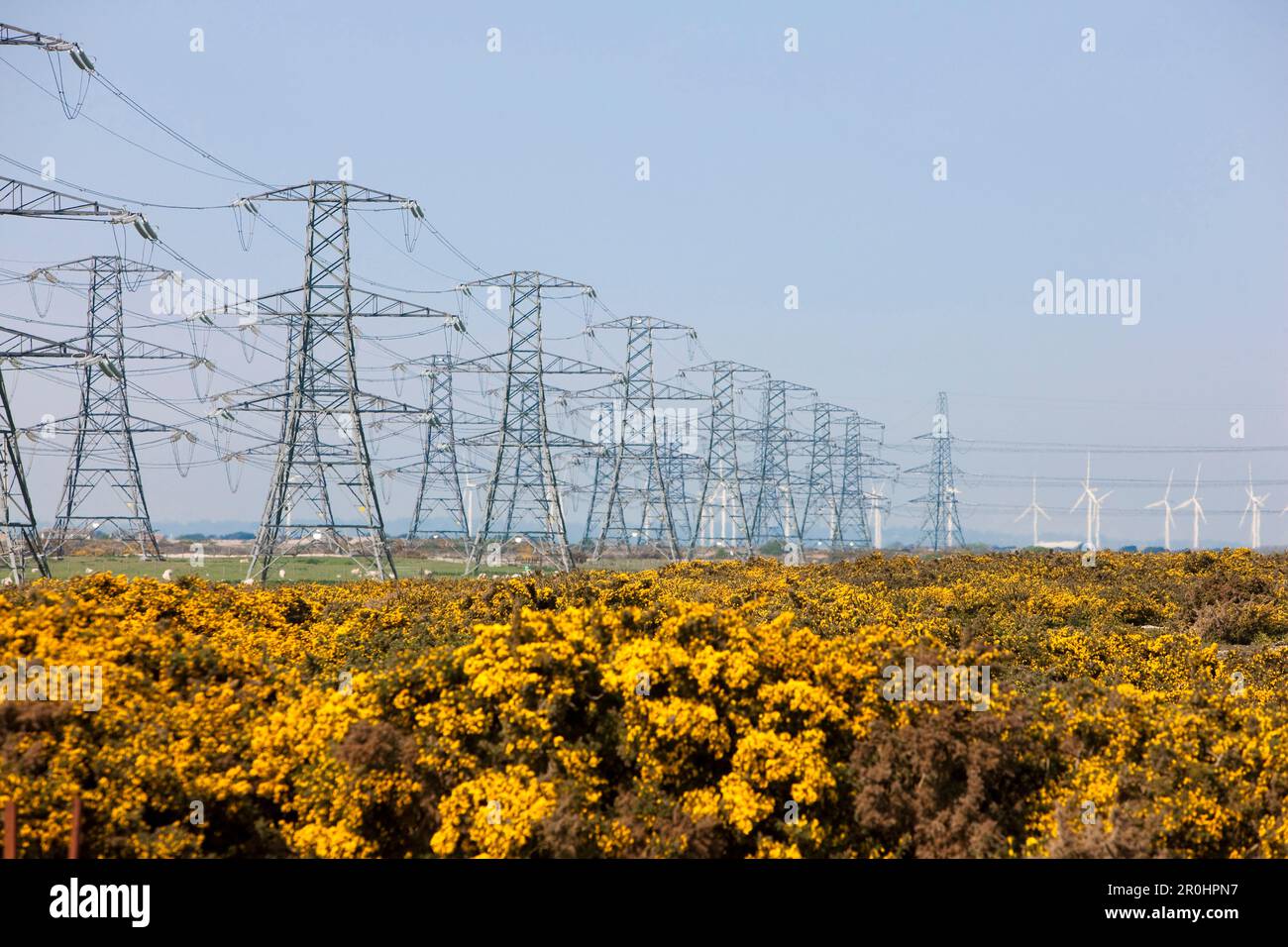 Landscape with electrical pylons and wind turbines, England, Great ...