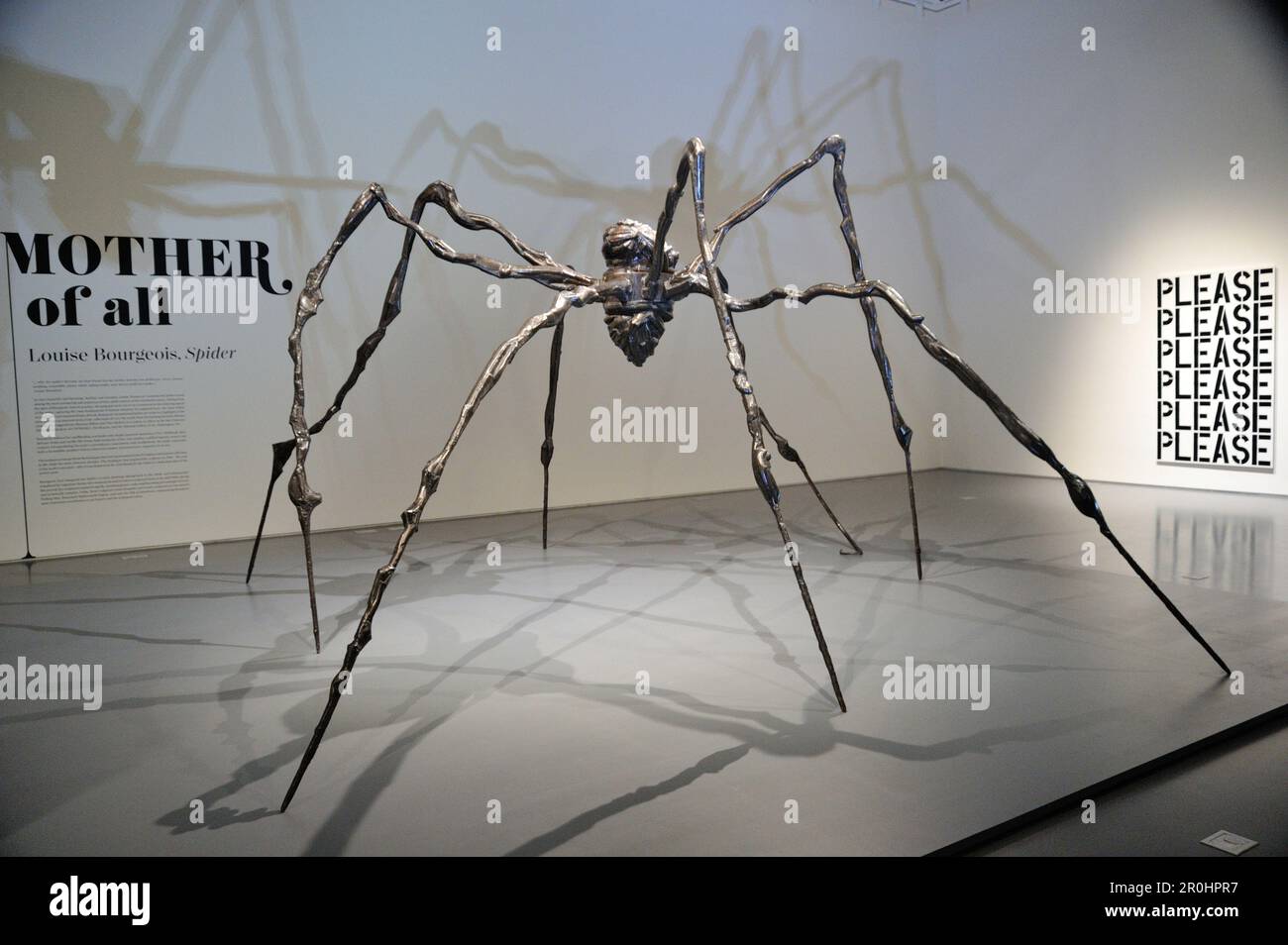 Louise Bourgeois Spider Dia Beacon