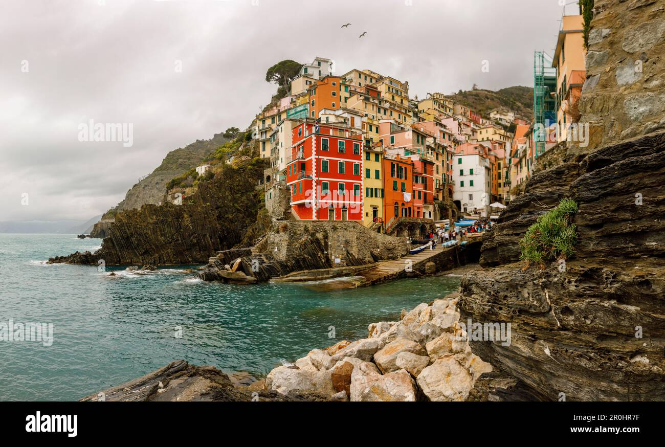 Travel to Italy: colorful houses Riomaggiore village on the cliff Stock ...
