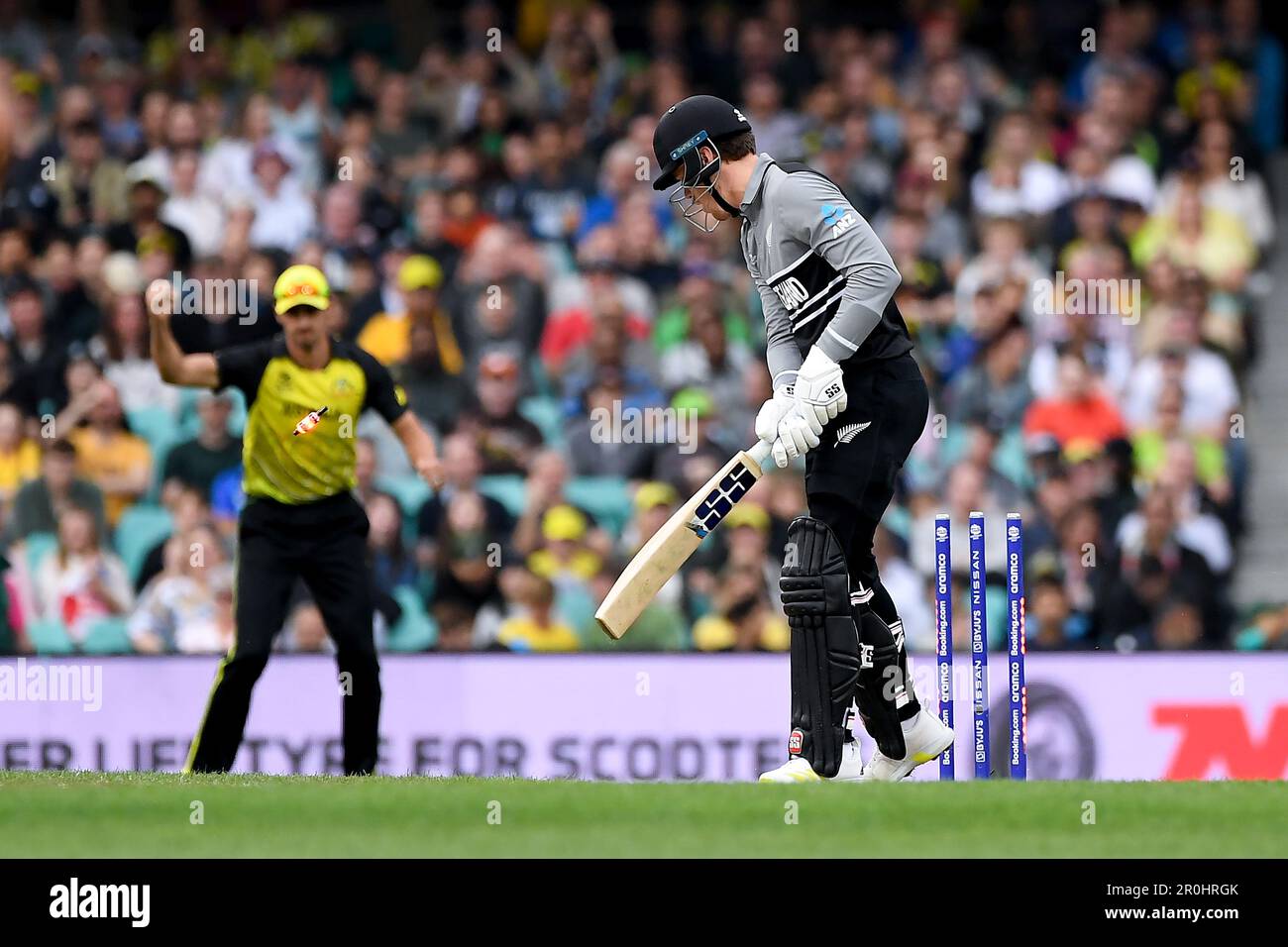 Finn allen cricket hi-res stock photography and images - Alamy