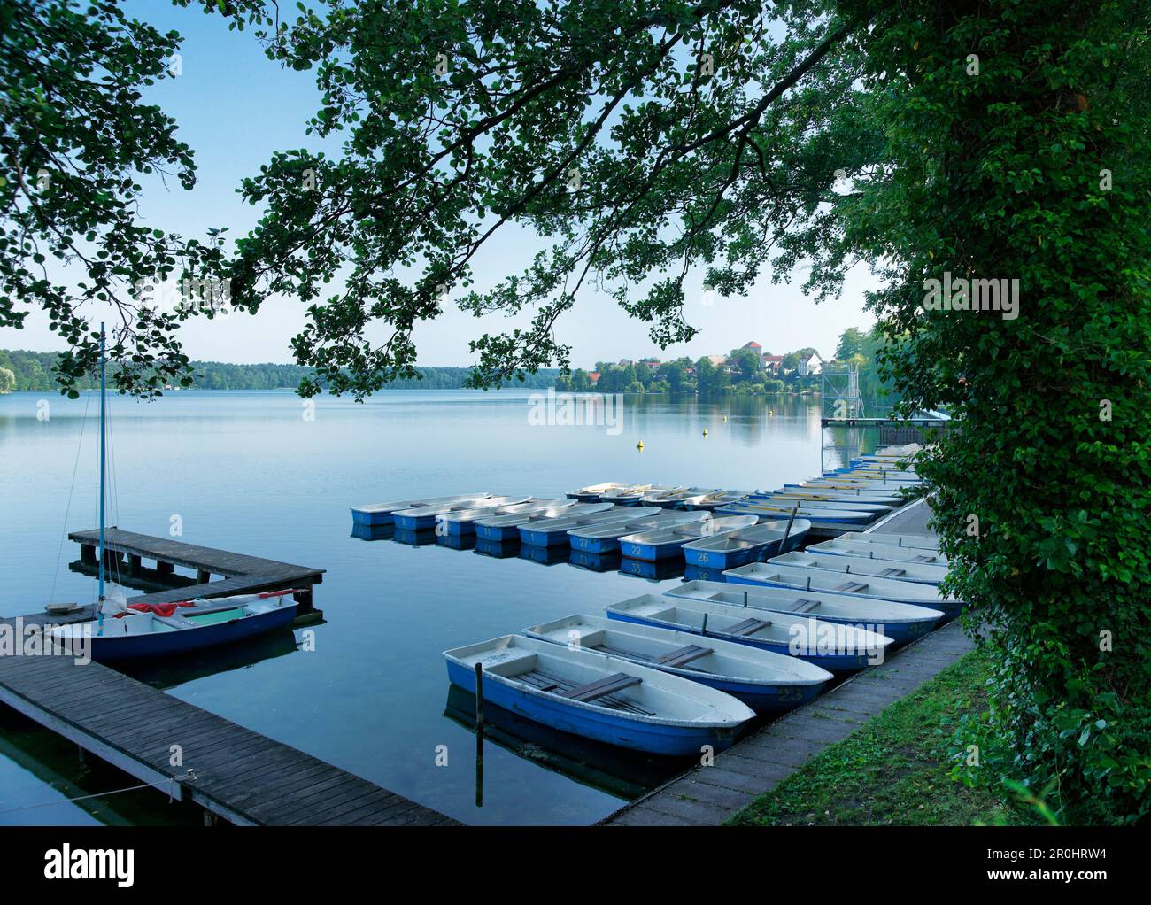 Boats moored at Lake Straussee, Strausberg, Brandenburg, Germany Stock ...