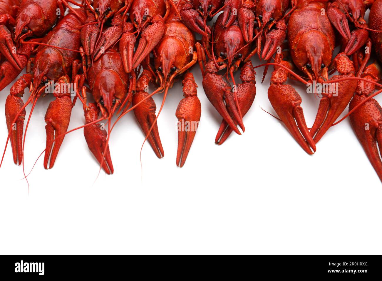 Delicious red boiled crayfish on white background Stock Photo - Alamy