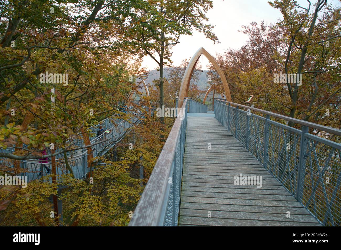 Tree Top Walk at Edersee, the walk leads through the top of beach trees ...