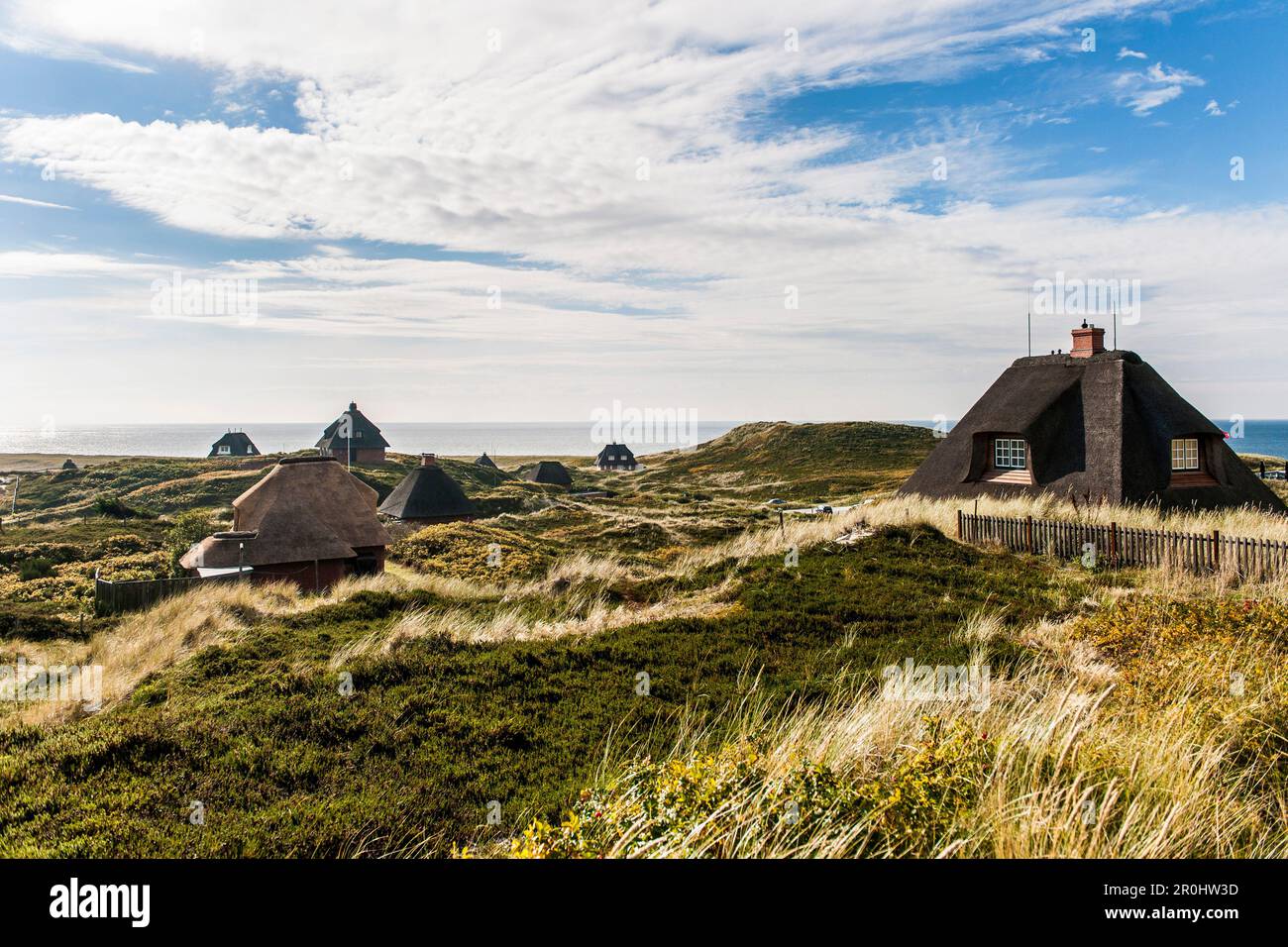 Thatched-roof houses in the dunes, Hoernum, Sylt, Schleswig-Holstein ...