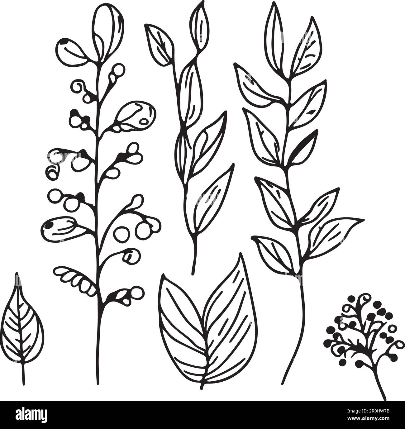 Wonderful hand drawn line forest flora vector Stock Vector Image & Art ...