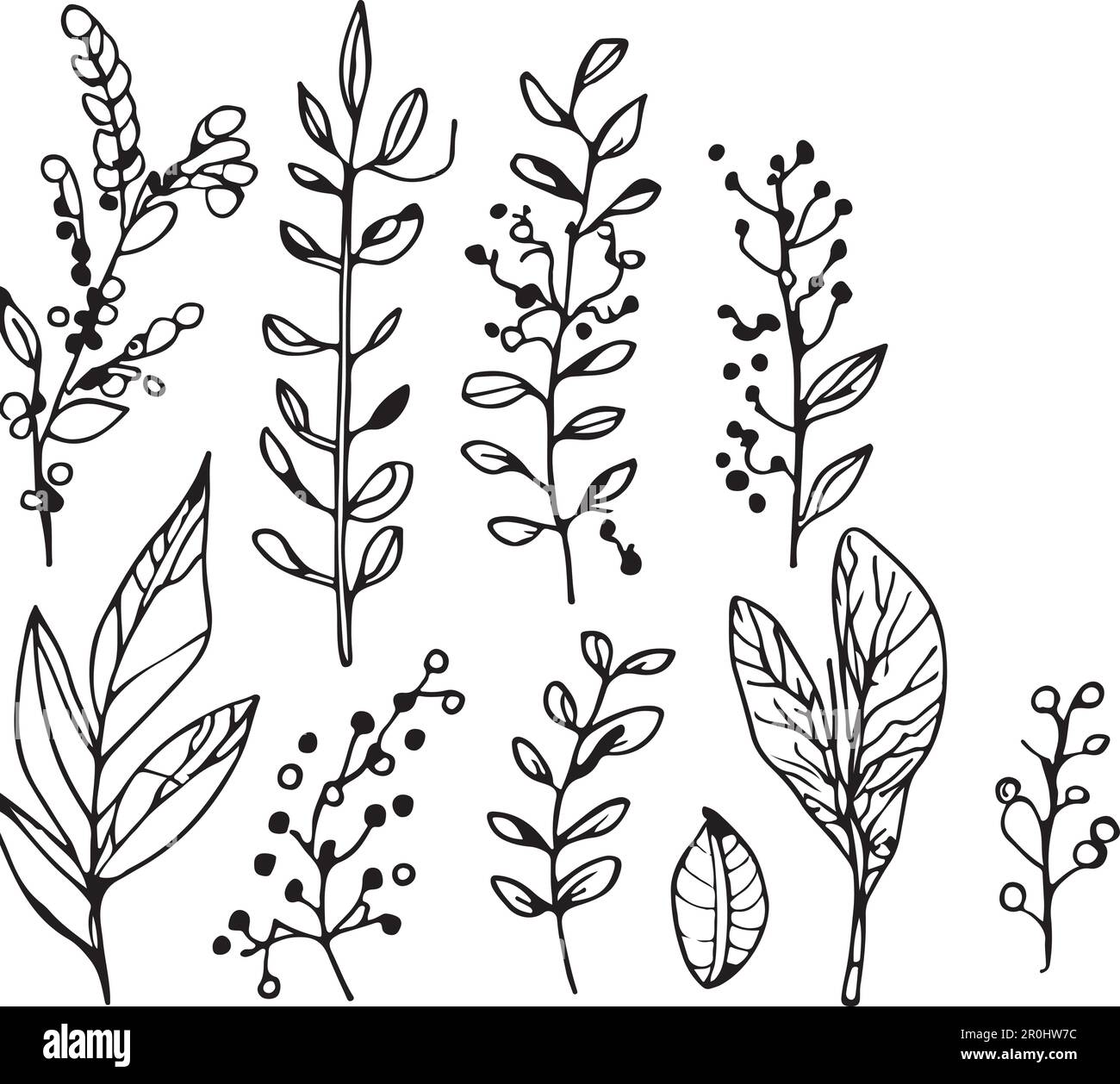 Super hand drawn line forest flora vector Stock Vector Image & Art - Alamy