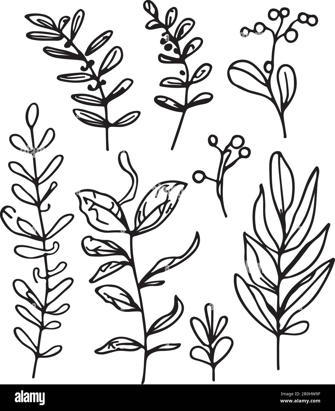 Pretty hand drawn line forest flora vector Stock Vector Image & Art - Alamy