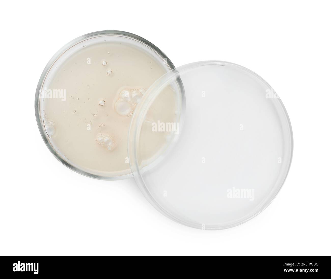 Glass petri dishes Cut Out Stock Images & Pictures - Alamy