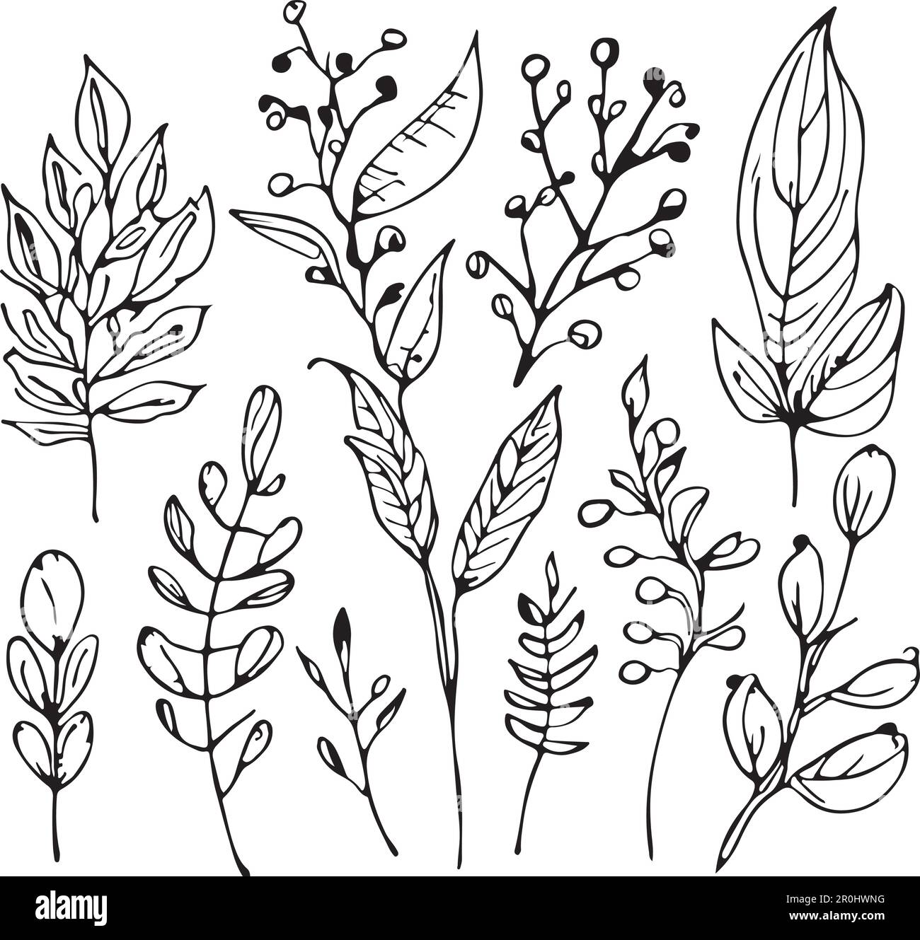 Gorgeous hand drawn line forest flora vector Stock Vector Image & Art ...