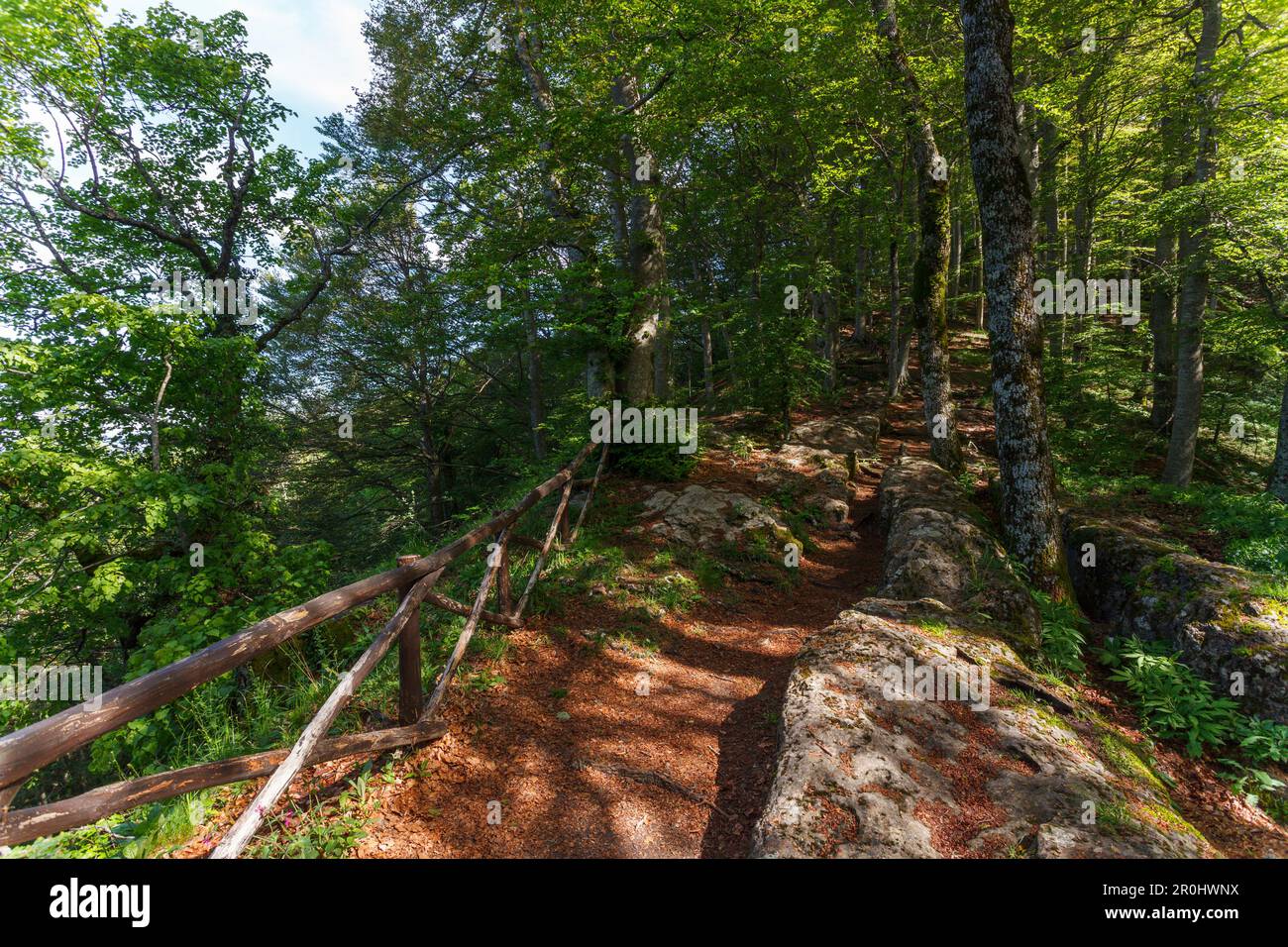 Trail on Monte Penna mountain, La Verna, Franciscan monastary, St ...