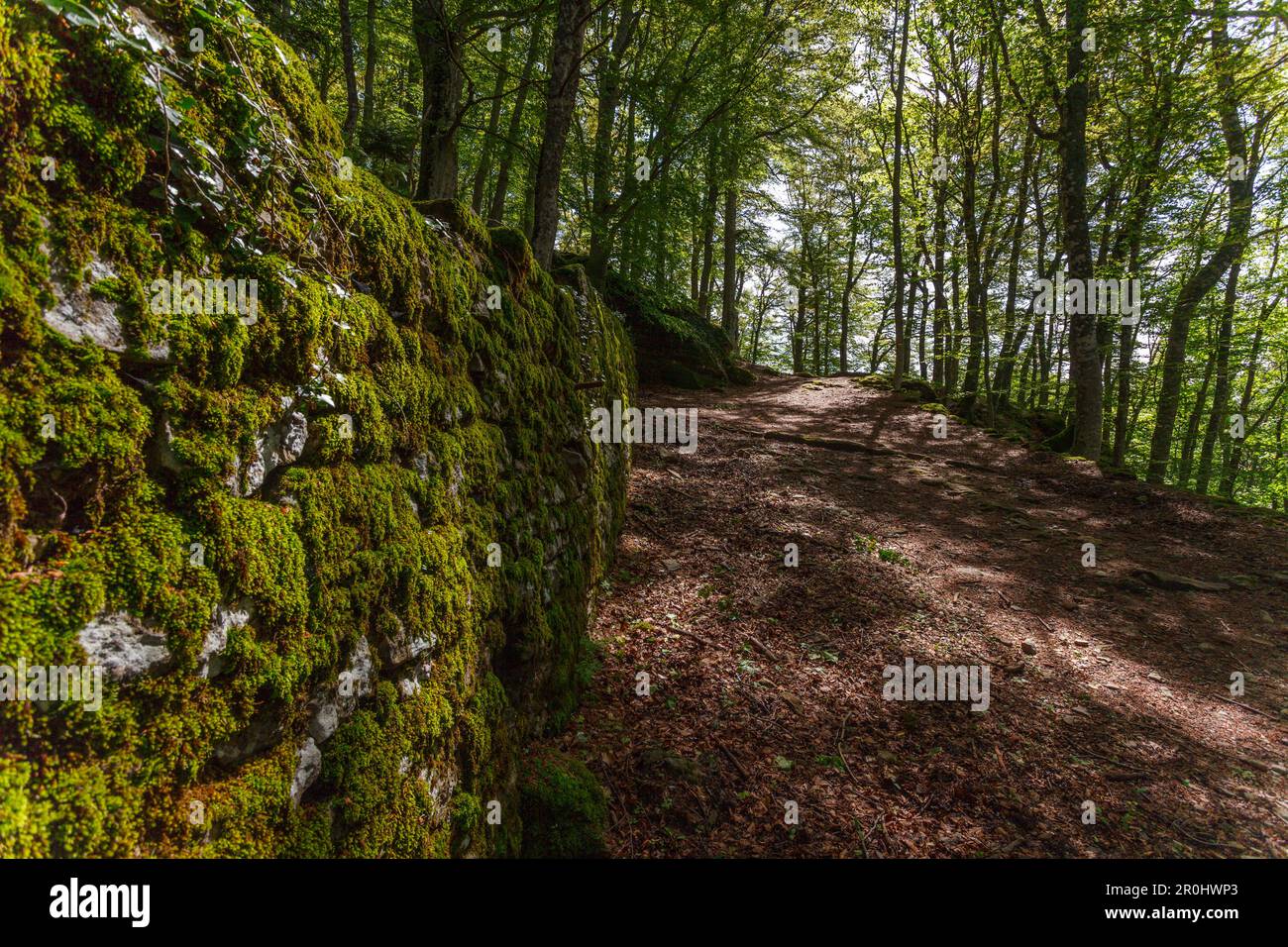 Trail on Monte Penna mountain, La Verna, Franciscan monastary, St ...
