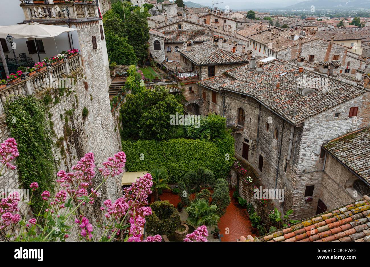 Gubbi gubbi hi-res stock photography and images - Alamy