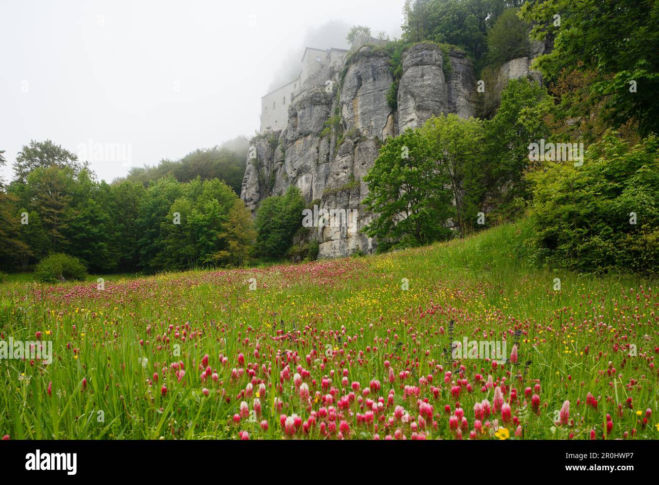 La Verna, a Franciscan monastary on Monte Penna, St. Francis of Assisi ...