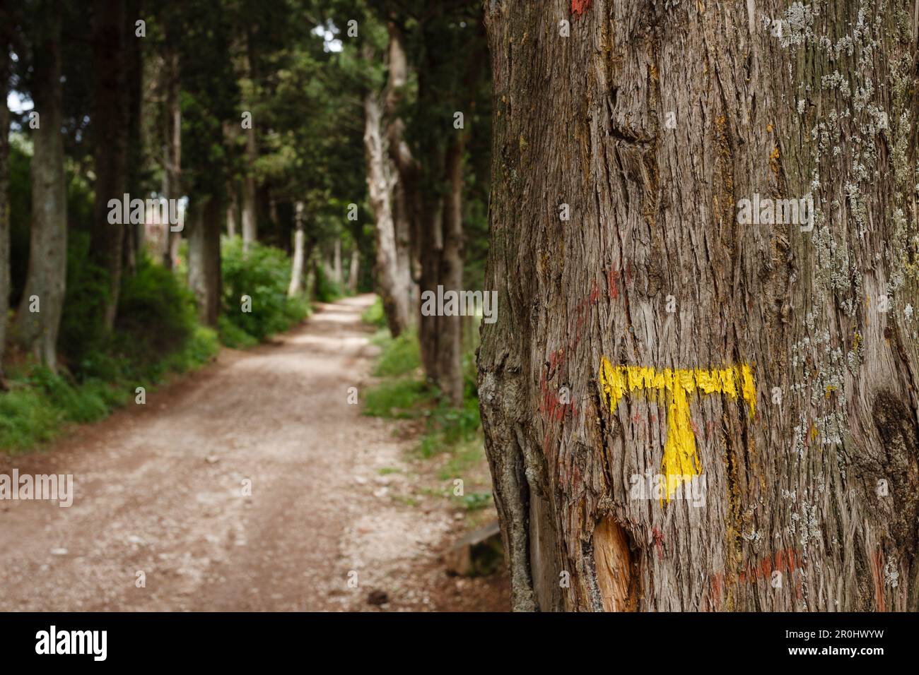 St francis way umbria sign hi-res stock photography and images - Alamy