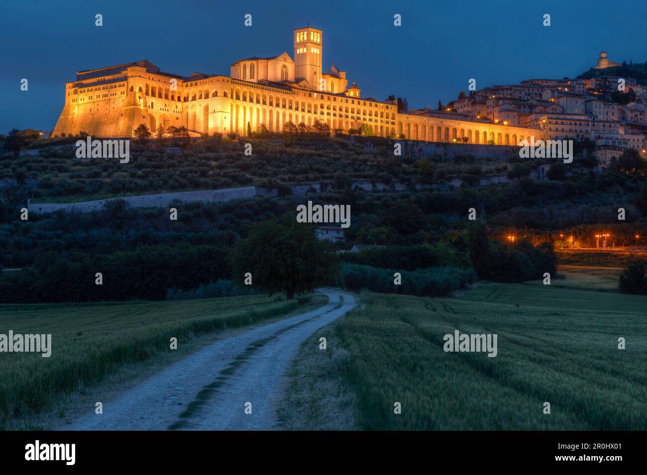 Assisi with Basilica of San Francesco d Assisi in the evening light ...