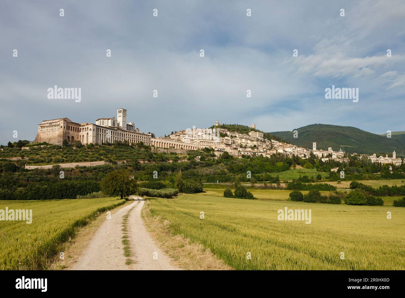 Assisi with Basilica of San Francesco d Assisi in the background ...