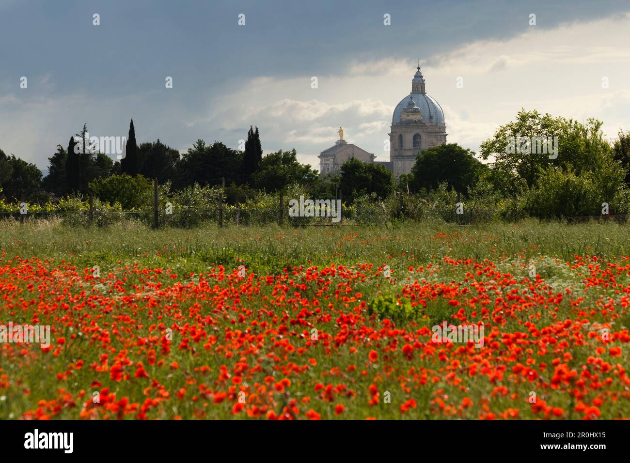 Basilica of Santa Maria degli Angeli church, St. Mary of the Angel with ...