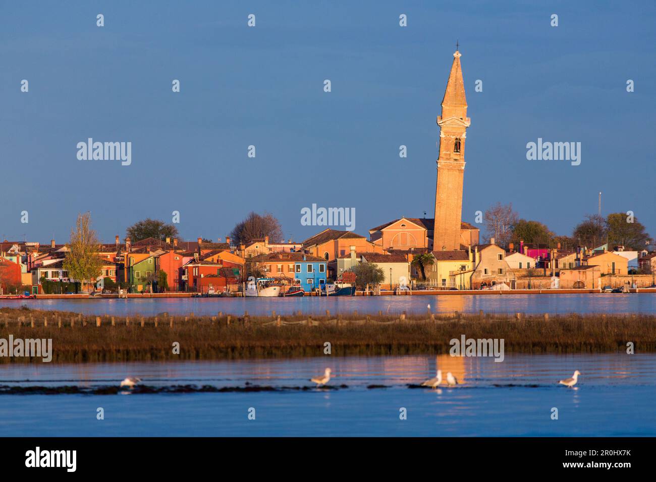 Venetian Lagoon with the Island of Burano and leaning tower, Fishing ...
