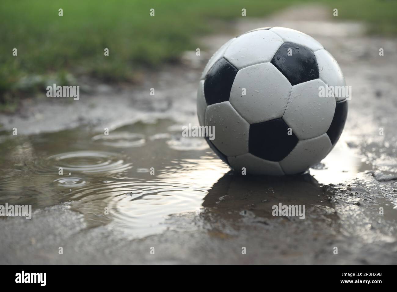 Leather soccer ball in puddle outdoors, space for text Stock Photo - Alamy