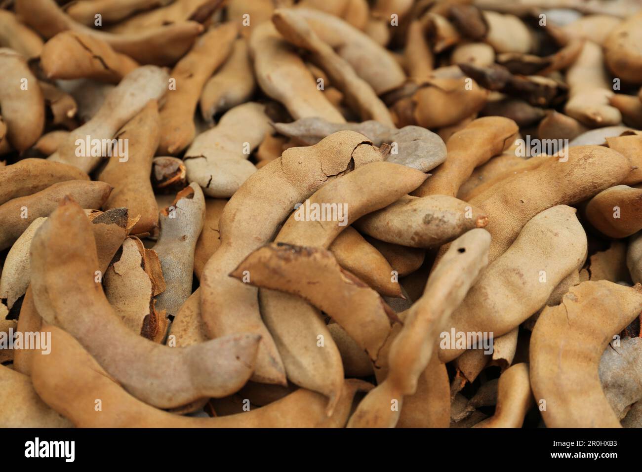 Pile of ripe tamarind fruits as background, closeup Stock Photo - Alamy