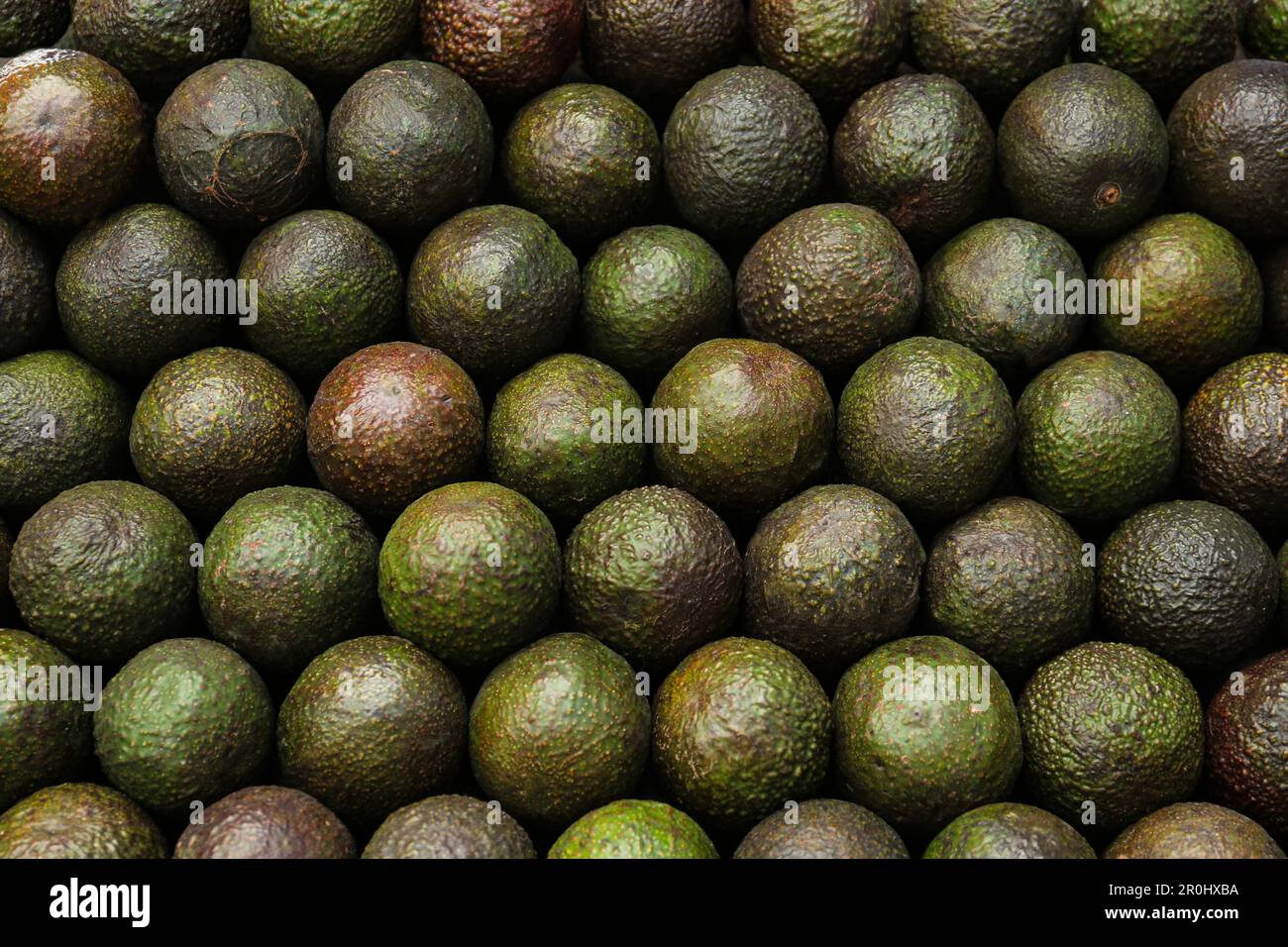 Delicious fresh ripe avocados as background, closeup Stock Photo - Alamy