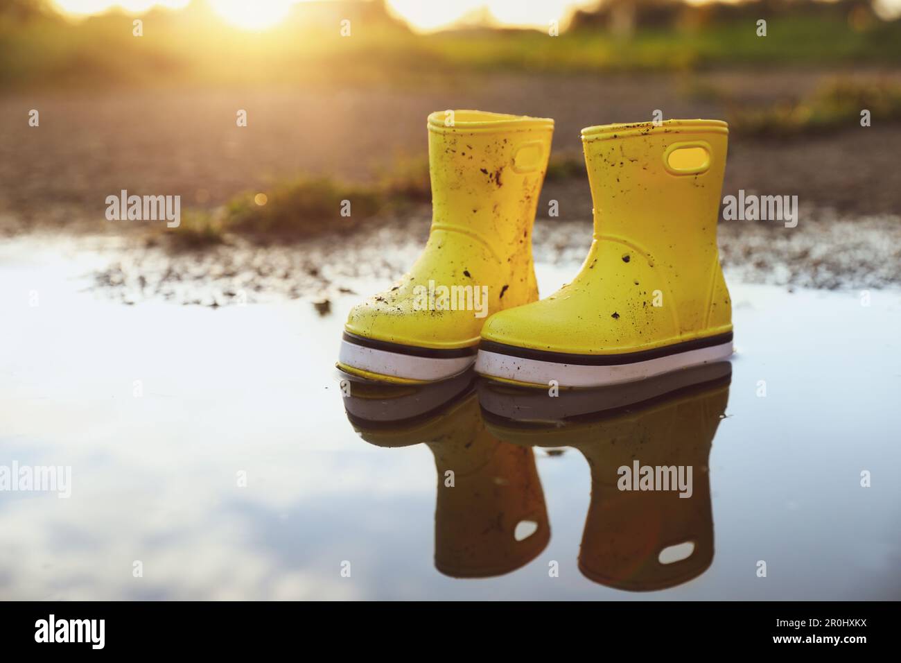 Yellow rubber boots in puddle outdoors, space for text. Autumn walk ...