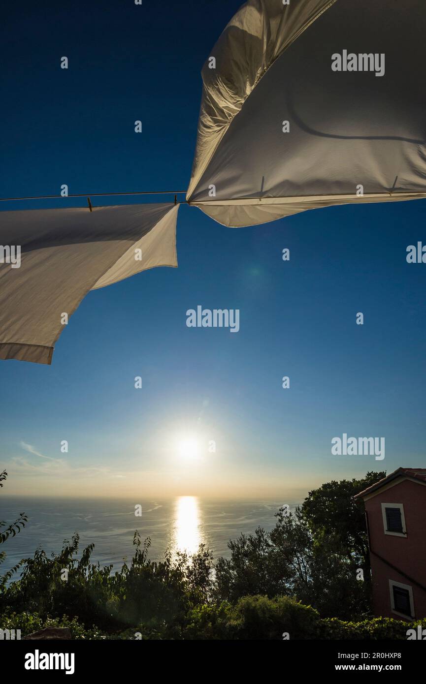 White laundry,Camogli, province of Genua, Italian Riviera, Liguria ...