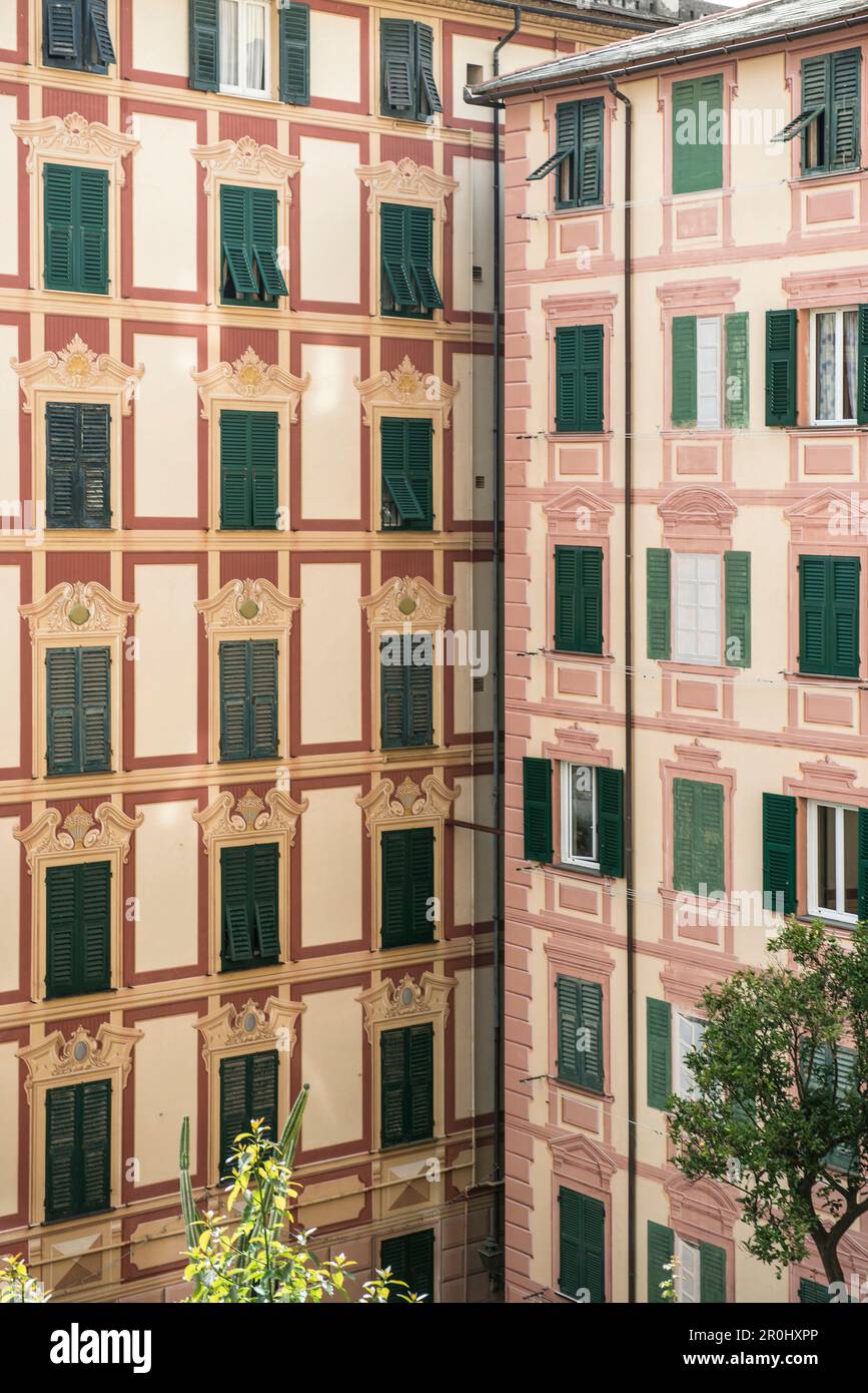 Fascade with real and painted windows, Camogli, province of Genua ...