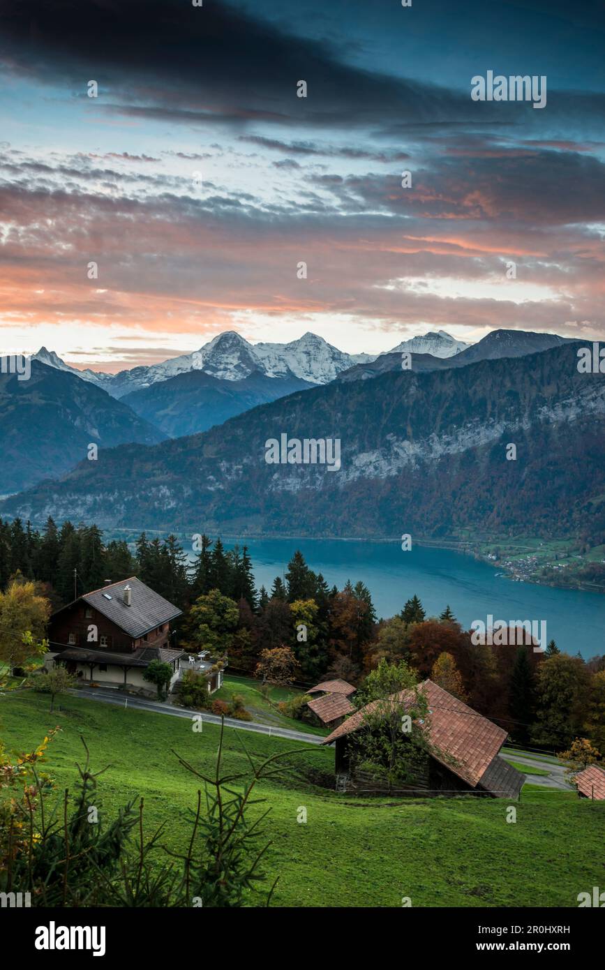 View over Lake Thun to sunrise above Eiger, Moench and Jungfrau ...