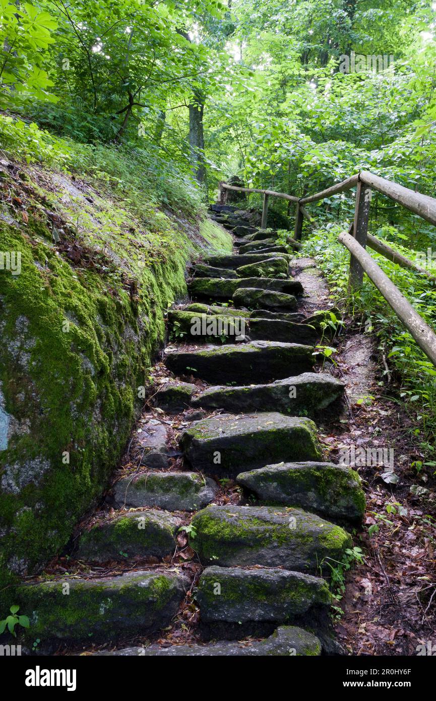 Rock steps, Granit rocks, castle grounds at Falkenstein, Falkenstein ...