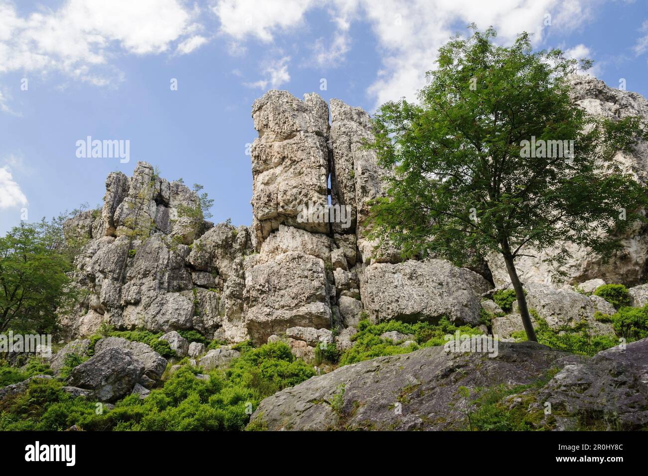 Quartz rocks, Grosser Pfahl nature reserve, Viechtach, Bavarian Forest ...