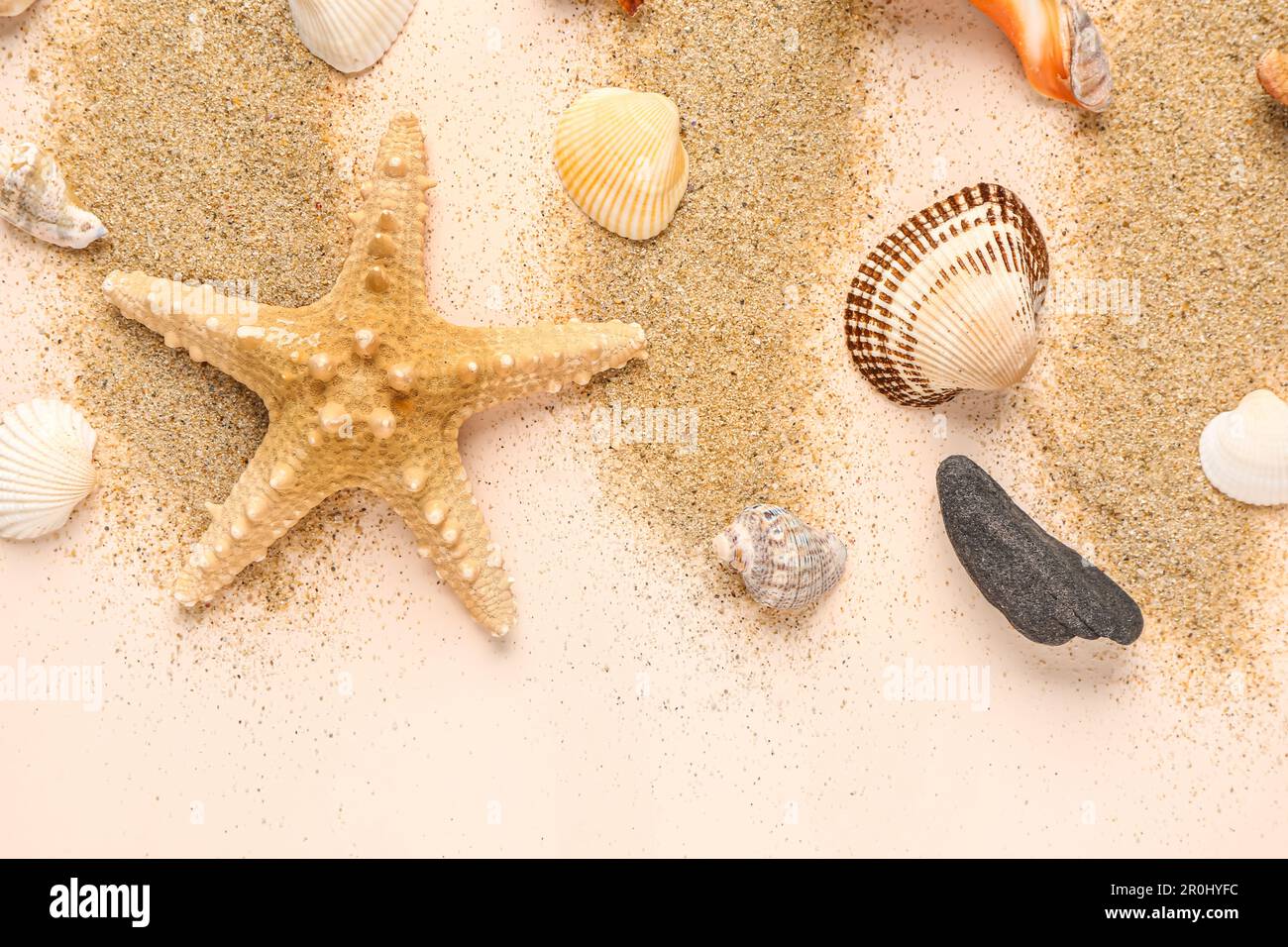 Sand with seashells and starfishes on pale pink background Stock Photo ...