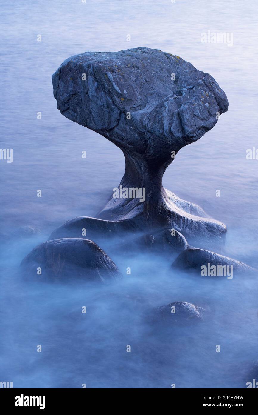Kannesteinen, mushroom shaped rock formation in Oppedal, Vagsoy Island ...