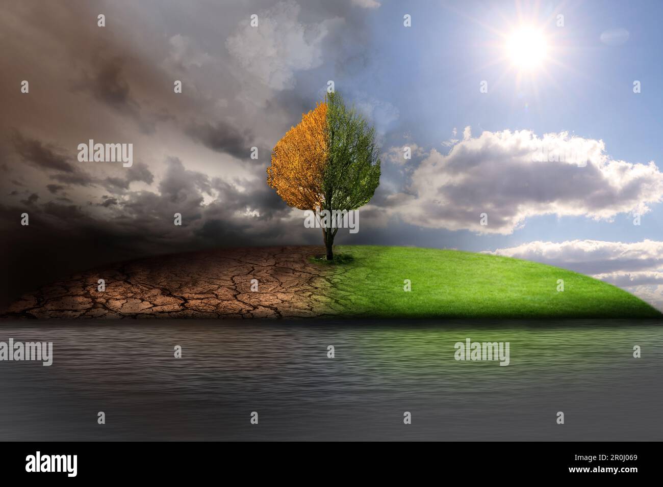 Half dead and alive tree outdoors. Conceptual photo depicting Earth ...