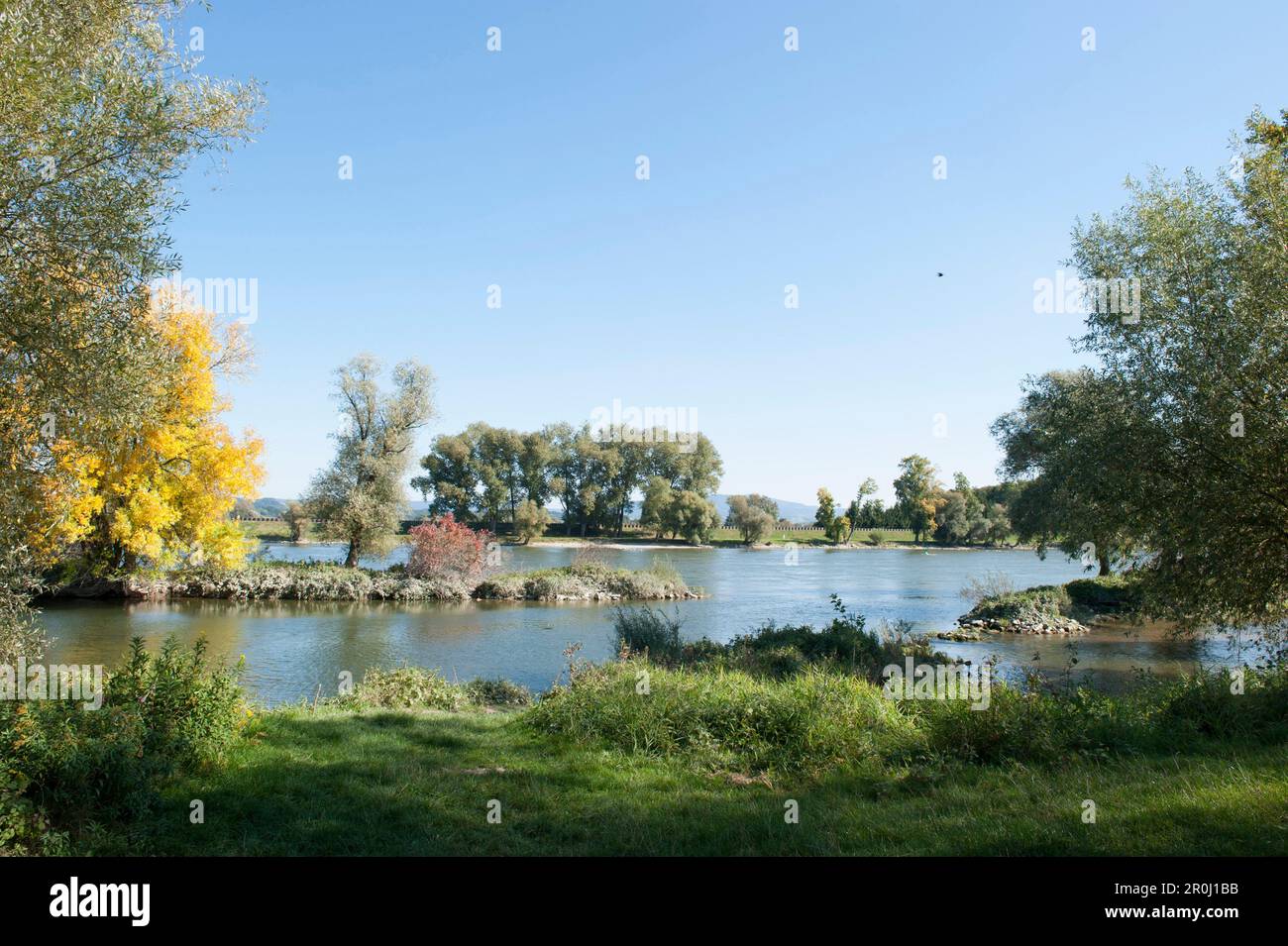 Pasture landscape at the mouth of the Isar river, Moos, Lower Bavaria ...