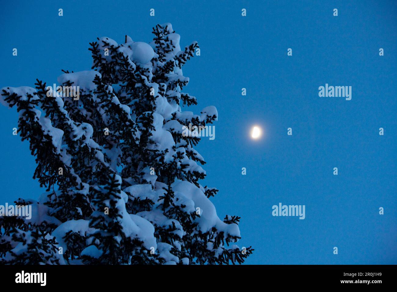 Winter mountains and nature hi-res stock photography and images - Alamy