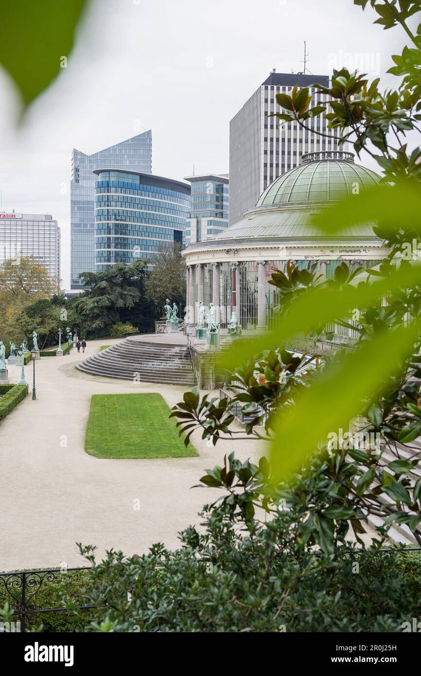 Botanical Garden, high-rise buildings in background, Brussels, Belgium ...
