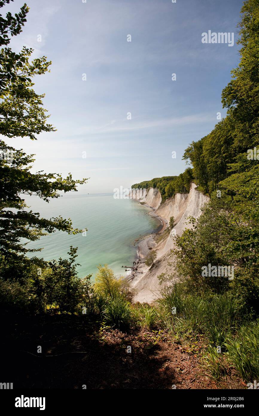 Chalk Cliffs, Ruegen, Mecklenburg-Vorpommern, Germany Stock Photo - Alamy