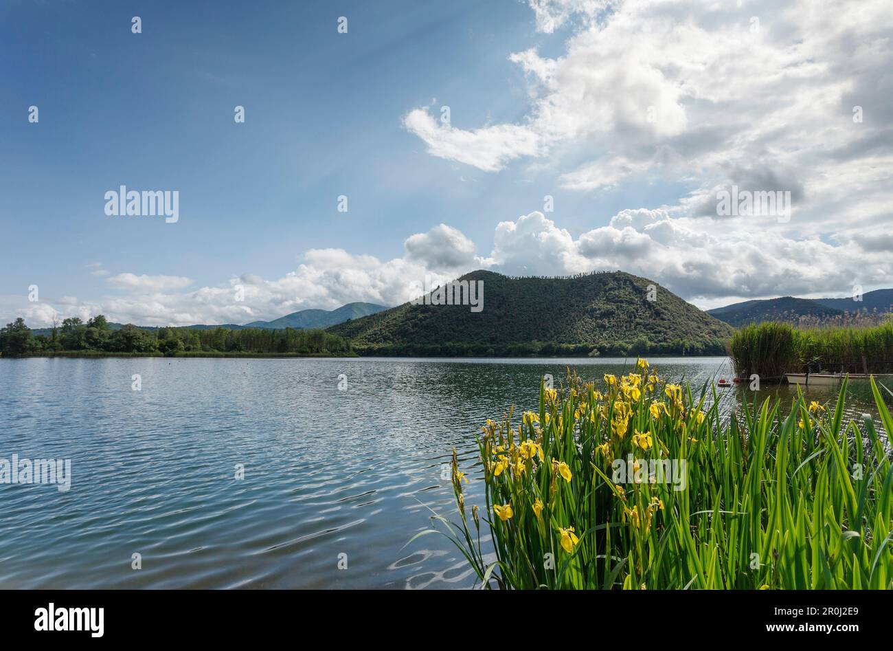 Umb image hi-res stock photography and images - Alamy