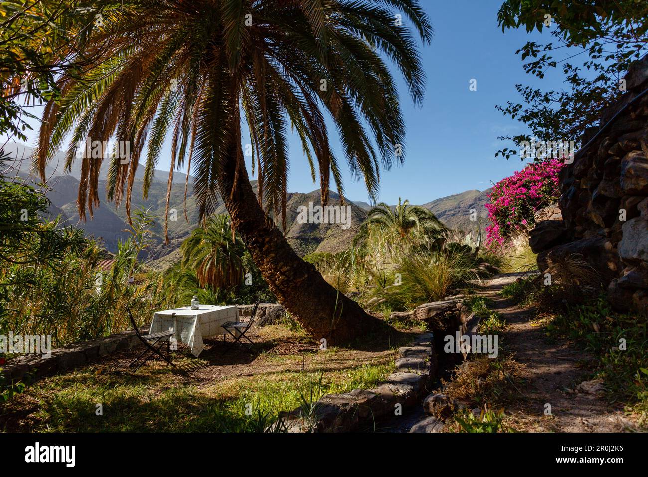 Garden table under a palm tree, hiking trail along an irrigation ...