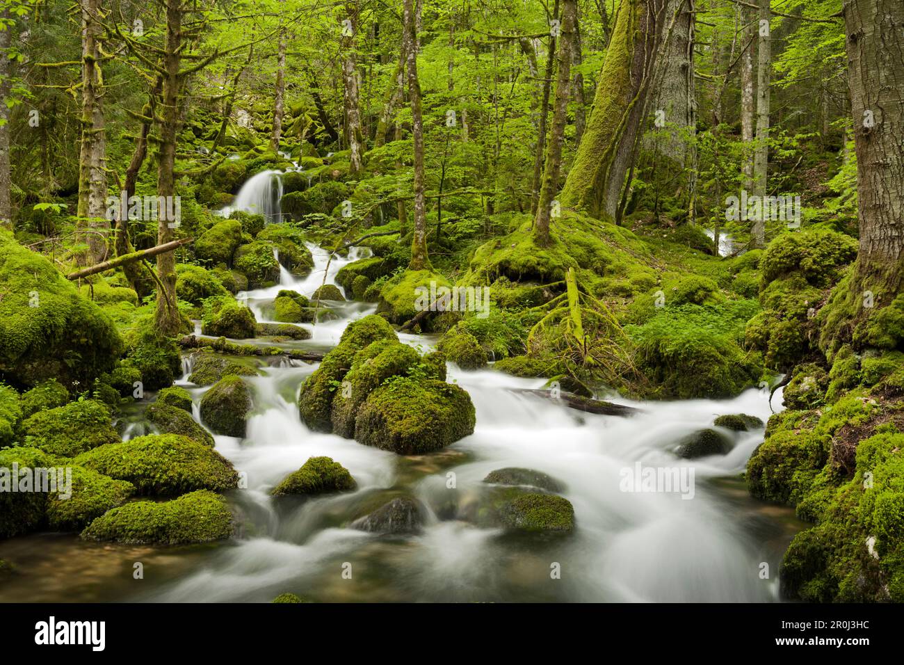 Orbe vaud switzerland hi-res stock photography and images - Alamy