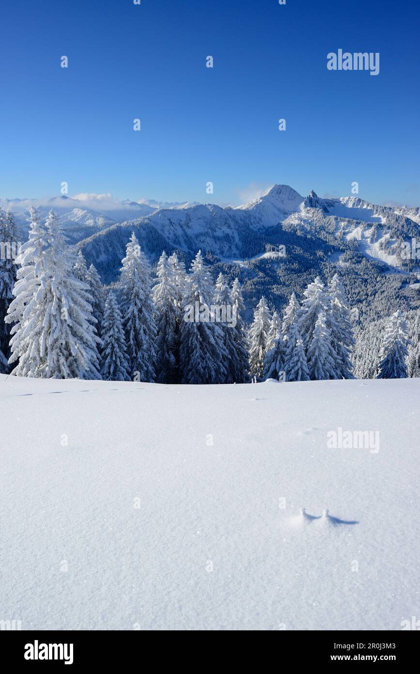 Blankenstein bavaria hi-res stock photography and images - Alamy