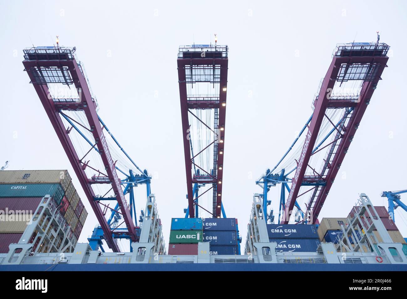 Loading and unloading of the container ship in the Container Terminal ...