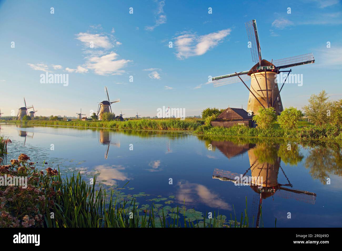 First morning sun at the old windmills at Kinderdijk, Province of ...